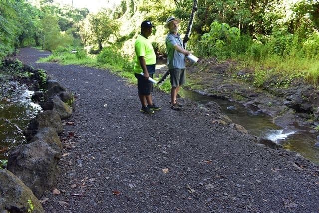Afu Aau Waterfall, Samoa Tourism Growth Partnership - TRC Tourism