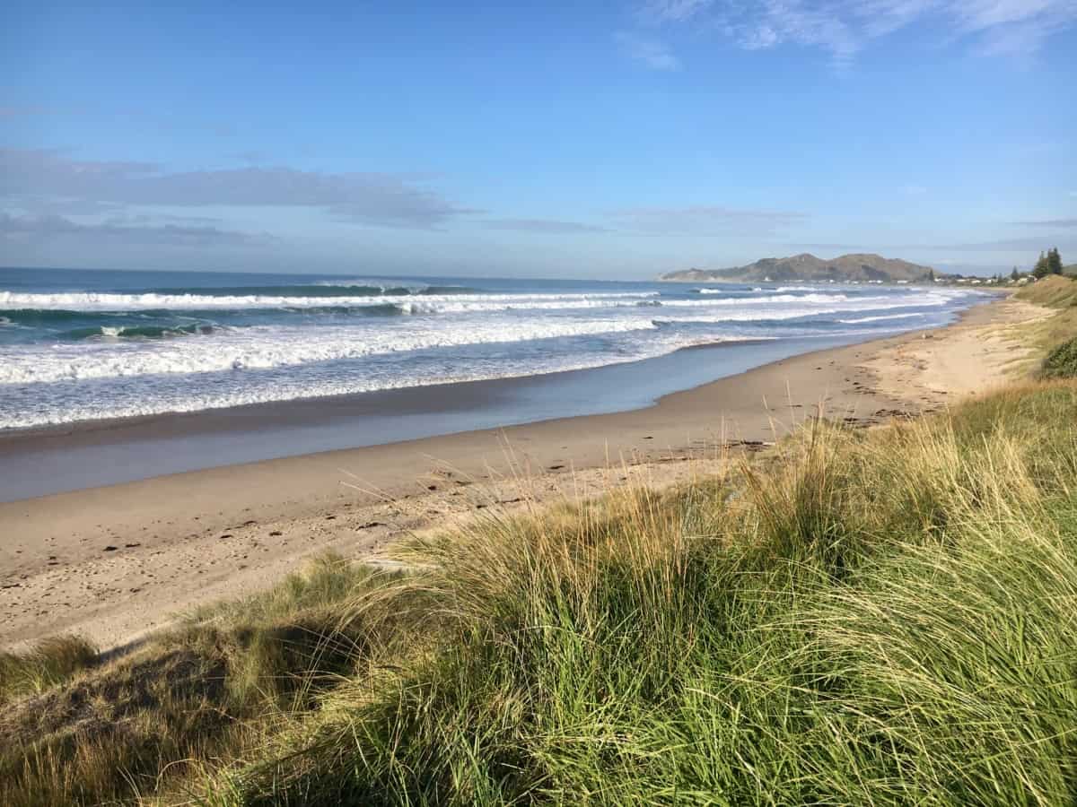 Road Trip down State Highway 35, NZ - TRC Tourism